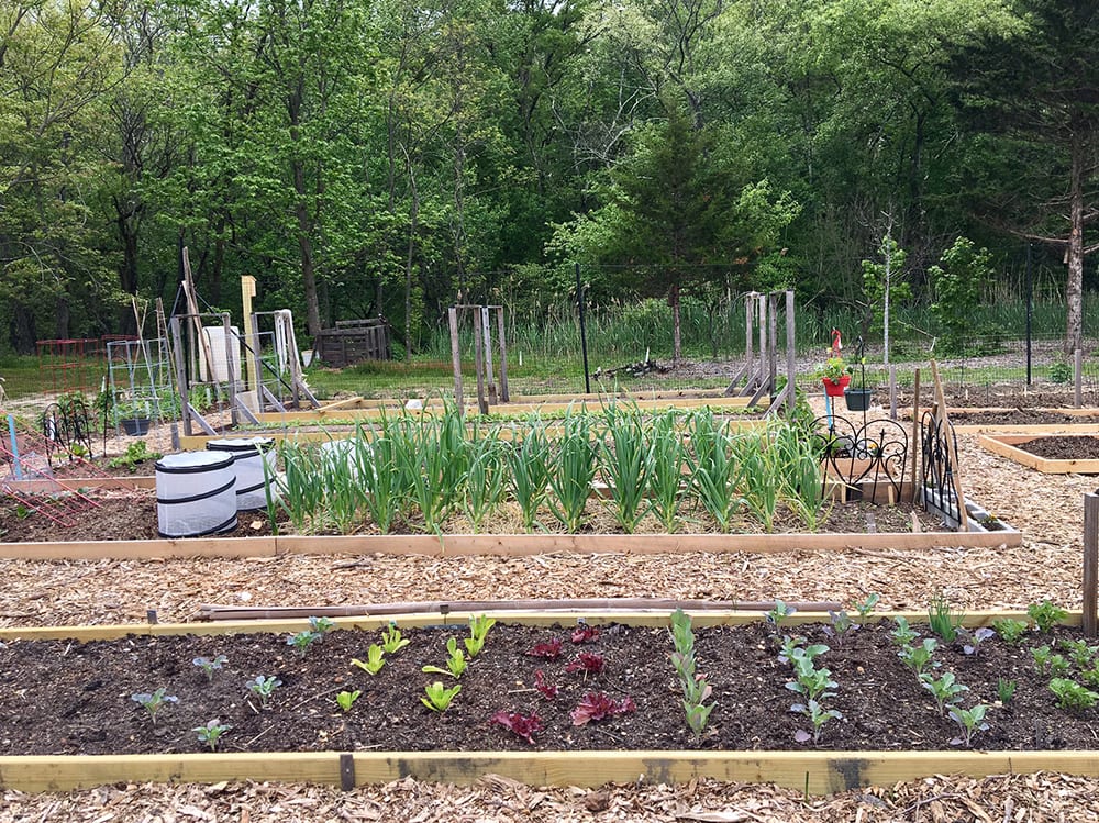 Howell Organic Community Gardens Growing Strong