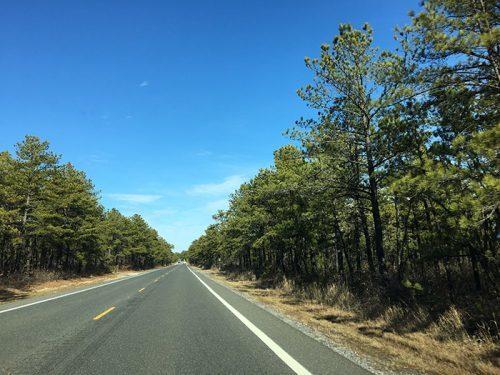 Route 539: Frightening Speeds & Fatal Crashes - Jersey Shore Online