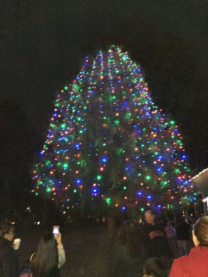 Tree Lighting Set For Dec. 1 - Jersey Shore Online