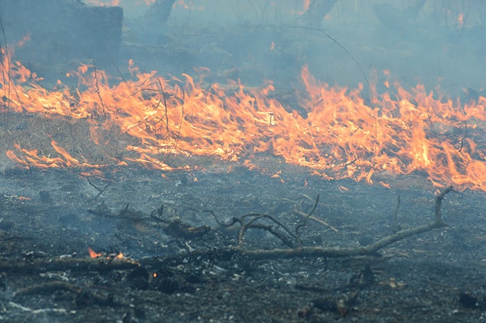 Where There’s Smoke, There’s A Controlled Burn - Jersey Shore Online