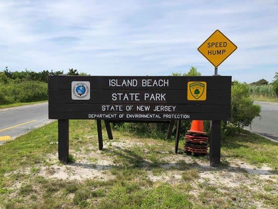 Man Found Dead At Ocean County Park Under Probe - Jersey Shore Online
