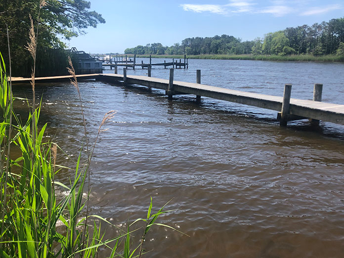 Mallard Point Park To Be Improved - Jersey Shore Online