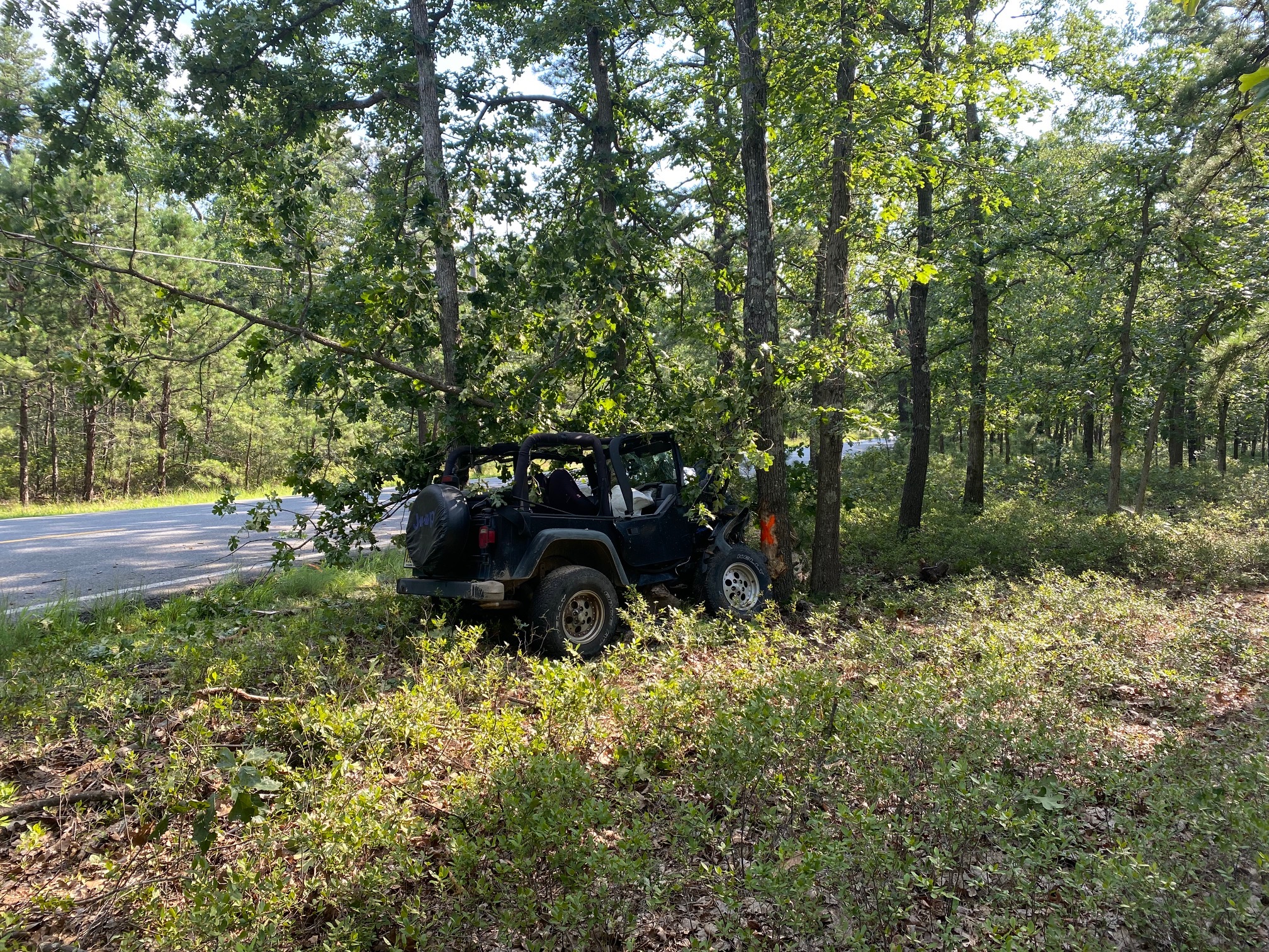 Jeep Vs. Tree Crash, Man Injured - Jersey Shore Online