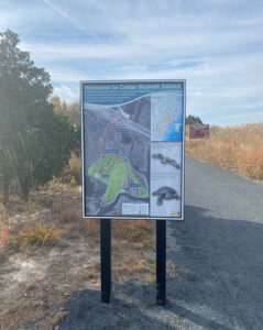 Cedar Bonnet Island Trail: A Hidden Gem Reopens - Jersey Shore Online