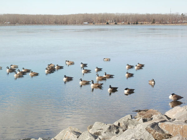 Brick Reservoir Offers Scenic Relaxation - Jersey Shore Online