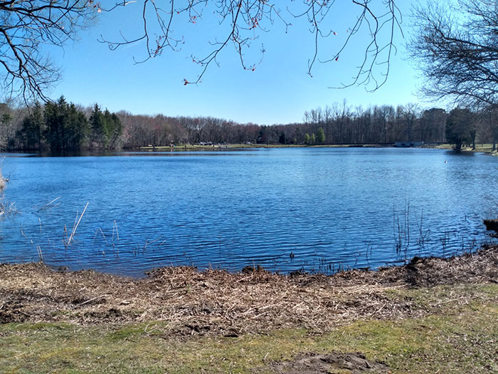 The Hidden Gem Of Alfred C. Sauer Park At Echo Lake - Jersey Shore Online