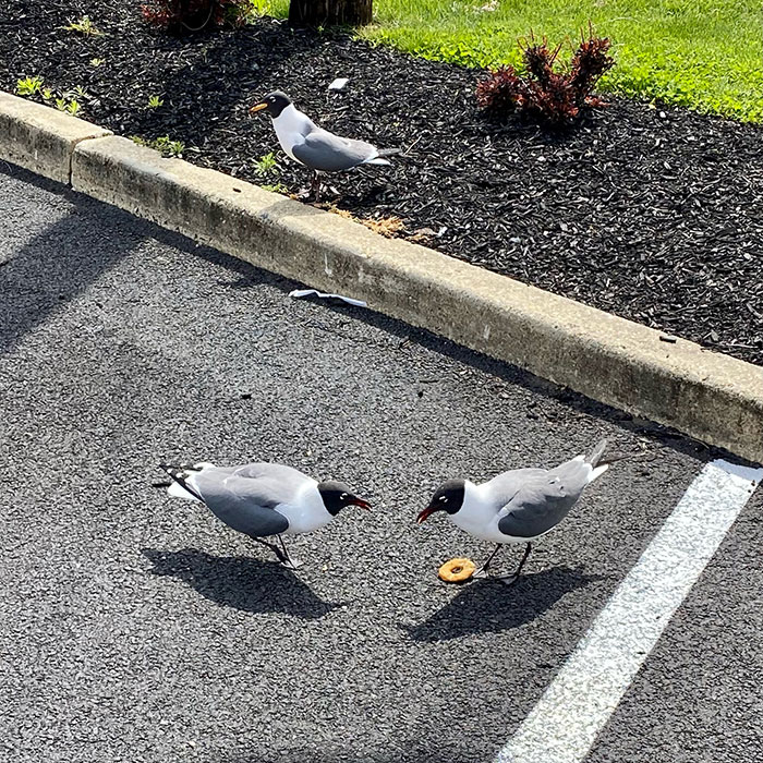 Jersey Shore Online's Photo Of The Week Contest, Win Prizes - Jersey ...