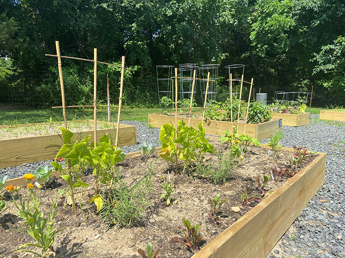 Restored Community Garden Blooms A New Life - Jersey Shore Online