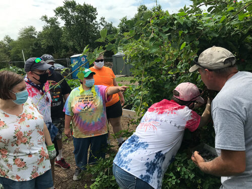 Community Garden Is Also A Learning Experience - Jersey Shore Online
