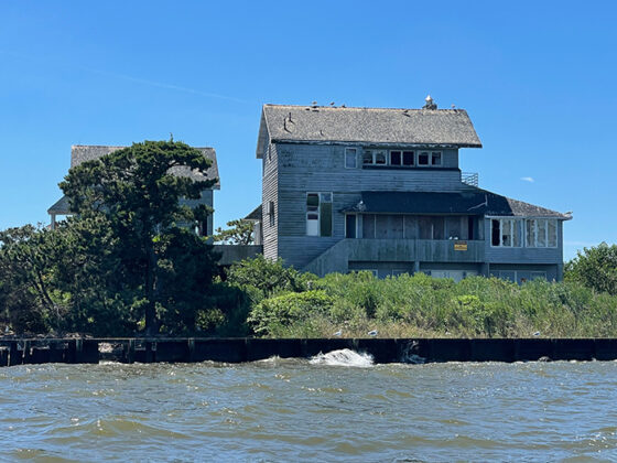Hankins Island Continues To Fascinate - Jersey Shore Online