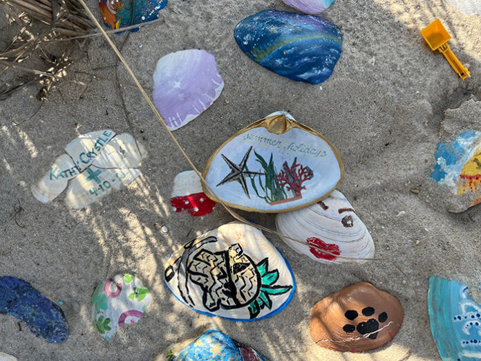 Finding LBI’s Natural Treasure Trove Of Shells - Jersey Shore Online