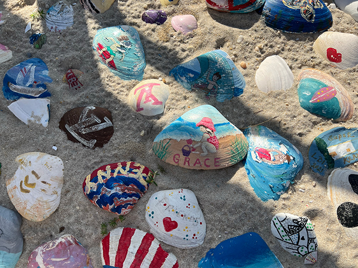 Finding LBI’s Natural Treasure Trove Of Shells - Jersey Shore Online