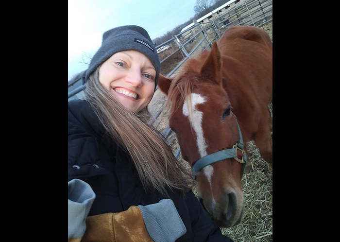 Local Nonprofit Saves Horses From Abuse - Jersey Shore Online
