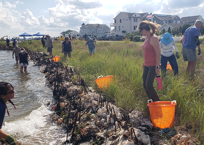 ‘Shell-A-Bration’ Strengthens Shore - Jersey Shore Online