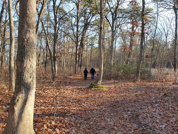 32 Acres Preserved As Open Space In Ocean County - Jersey Shore Online