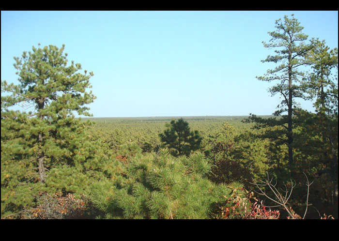 Forked River Open Space Given To Ocean County Jersey Shore Online