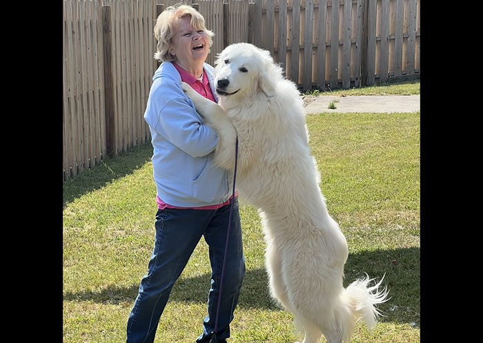 Local Animal Rescue Champions For The Underdog - Jersey Shore Online