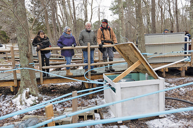Cold Weather Primes Maple Syrup Project For A “Sweet” Season - Jersey ...