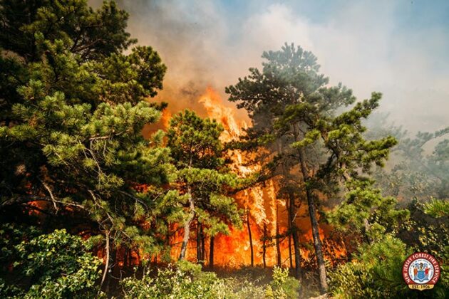 Forest Fire Breaks Out At NJ Military Gunnery Range - Jersey Shore Online