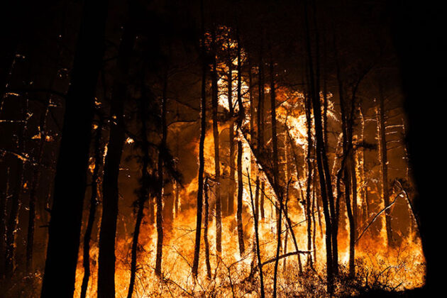 Ocean County Man Facing Arson Charges In Jackson Shotgun Fire - Jersey ...