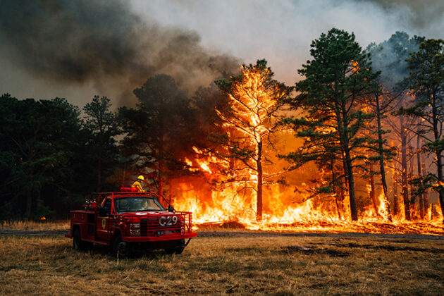 Second Arrest Made In Ocean County Wildfire - Jersey Shore Online