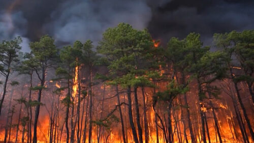 Ocean County Wildfire Now NJ’s Second Largest Blaze In Two Decades ...