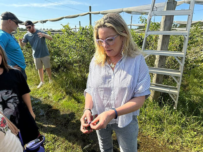 Ocean County Farm Giving Away Blueberries For Good Cause - Jersey Shore ...