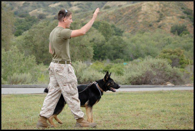 Local Marine Writes About “Surviving With Grief” - Jersey Shore Online